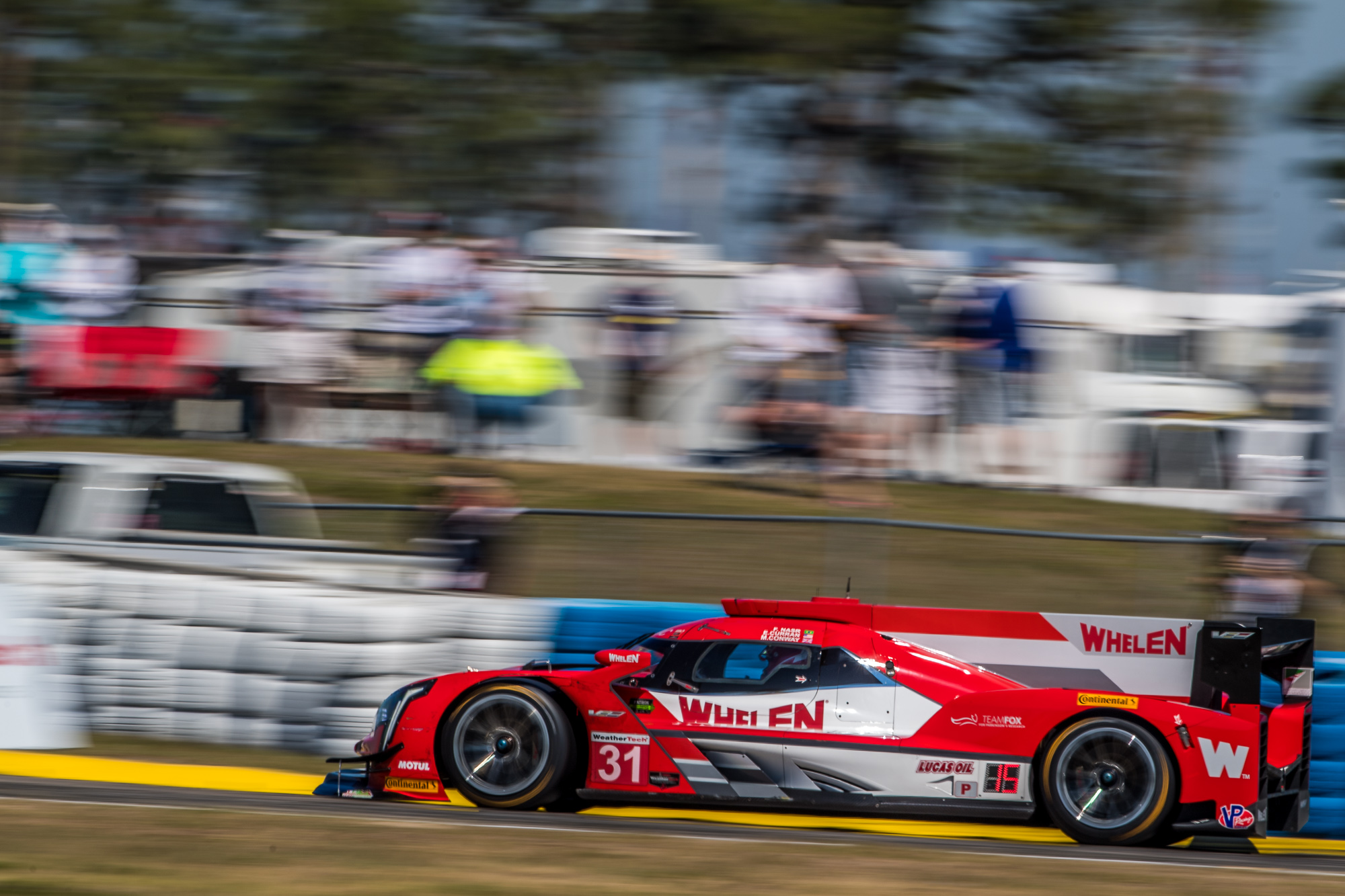 Fifth and Seventh on Sebring 12 Hour Grid for Action Express Racing ...